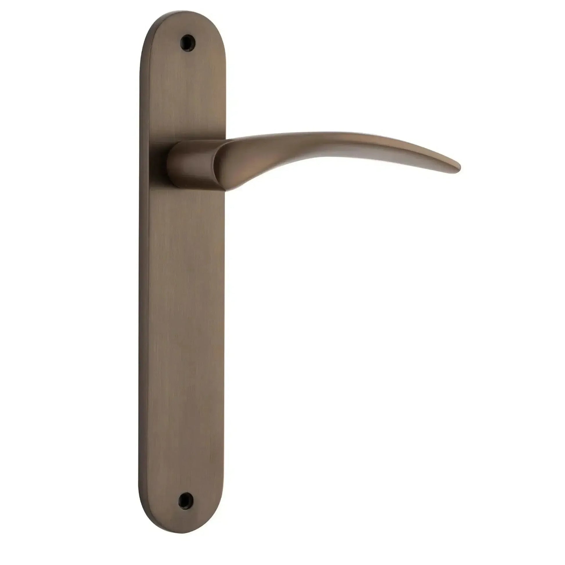 Iver Door Handle Oxford Oval Latch Pair Signature Brass – Heritage ...